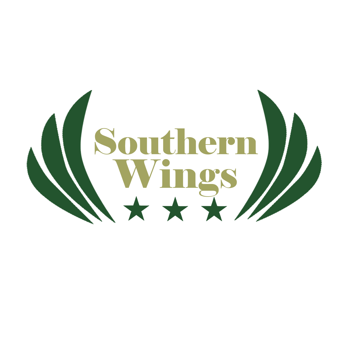 Introducing South Wings | Southern Wings Enterprises